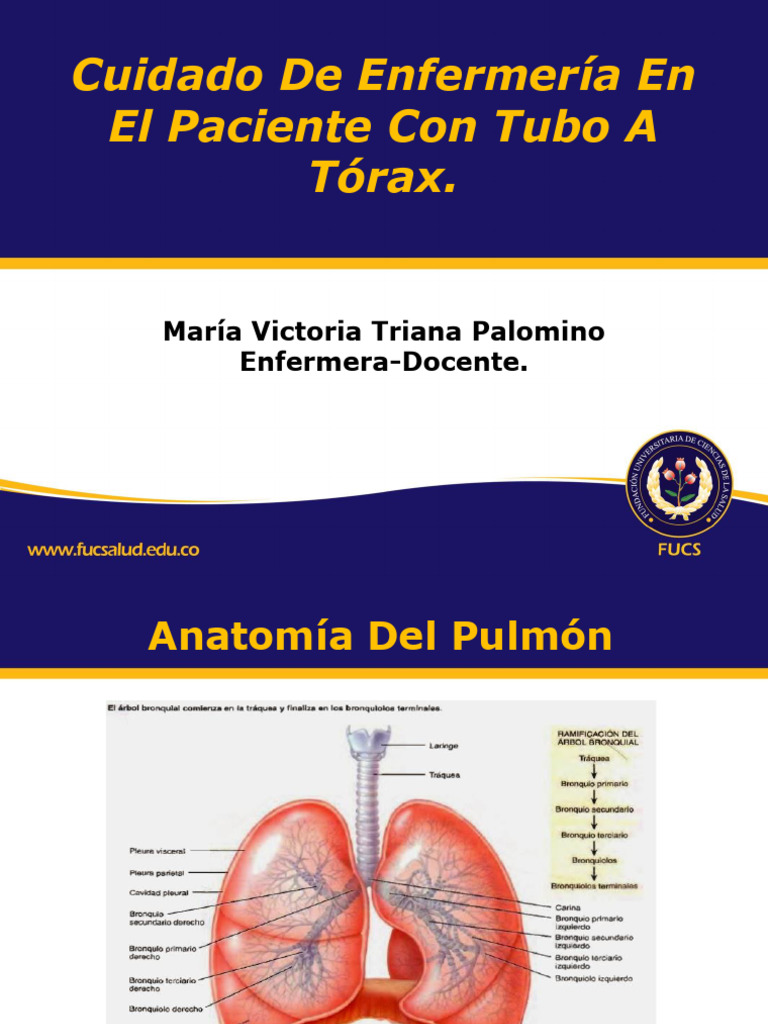 Cuidados de Enfermería con Tubo Torácico | PDF | Pulmón | Medicina CLINICA