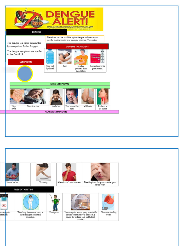 Ficha Sobre El Dengue | PDF