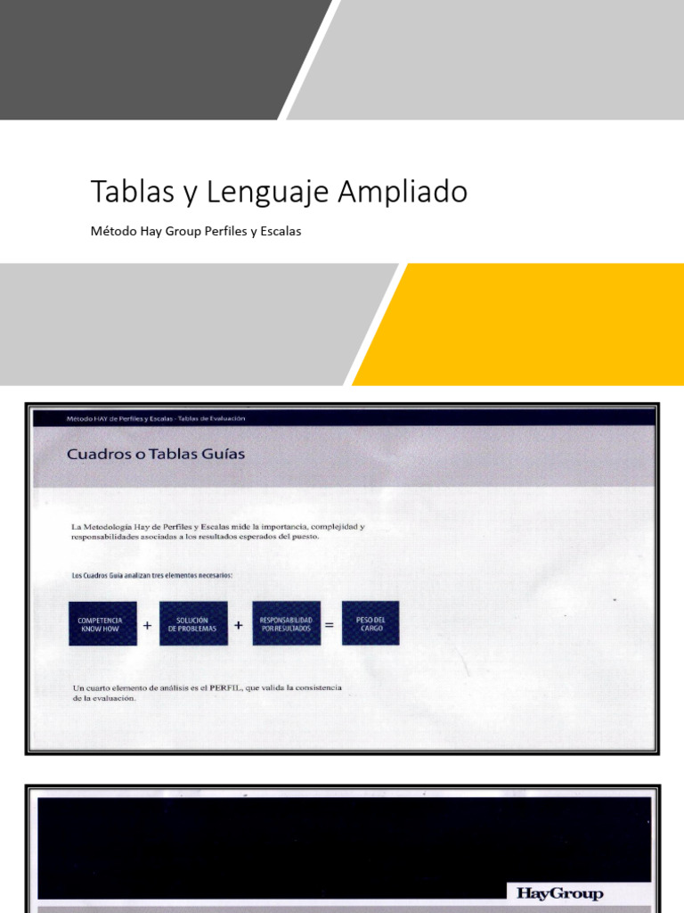 Tablas y Lenguaje Ampliado Hay Group | PDF