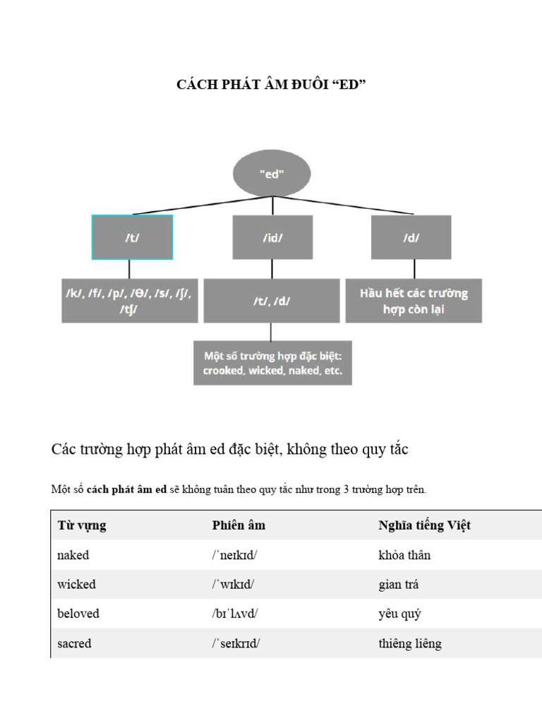 BÀI TẬP PHÁT ÂM ED file word | PDF