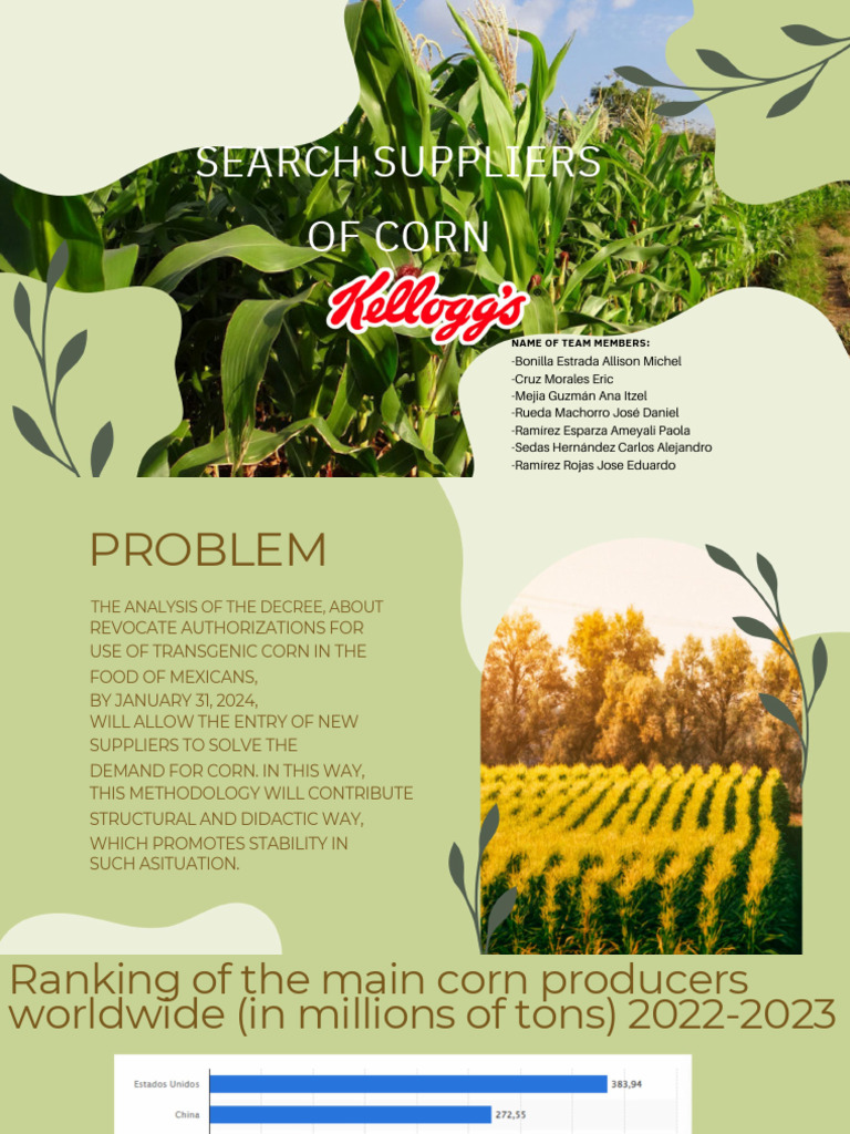 Proyecto Final Kellogg's PDF | Download Free PDF | Maize | Supply Chain
