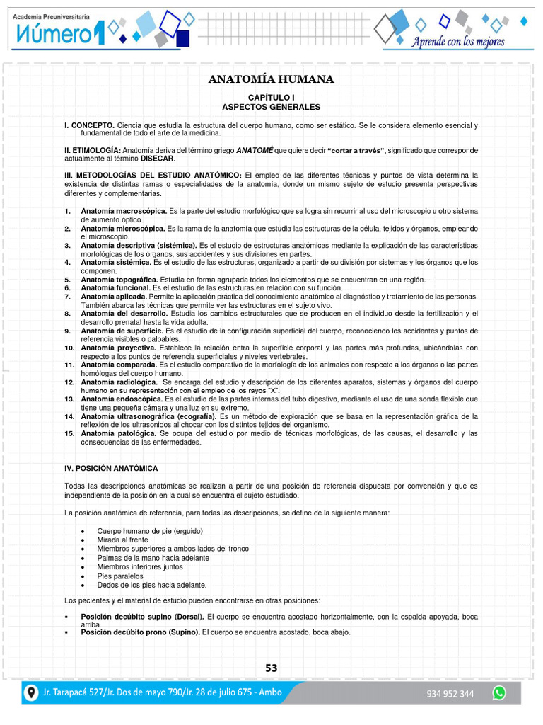 Anatomía Pdf Articulación Hueso