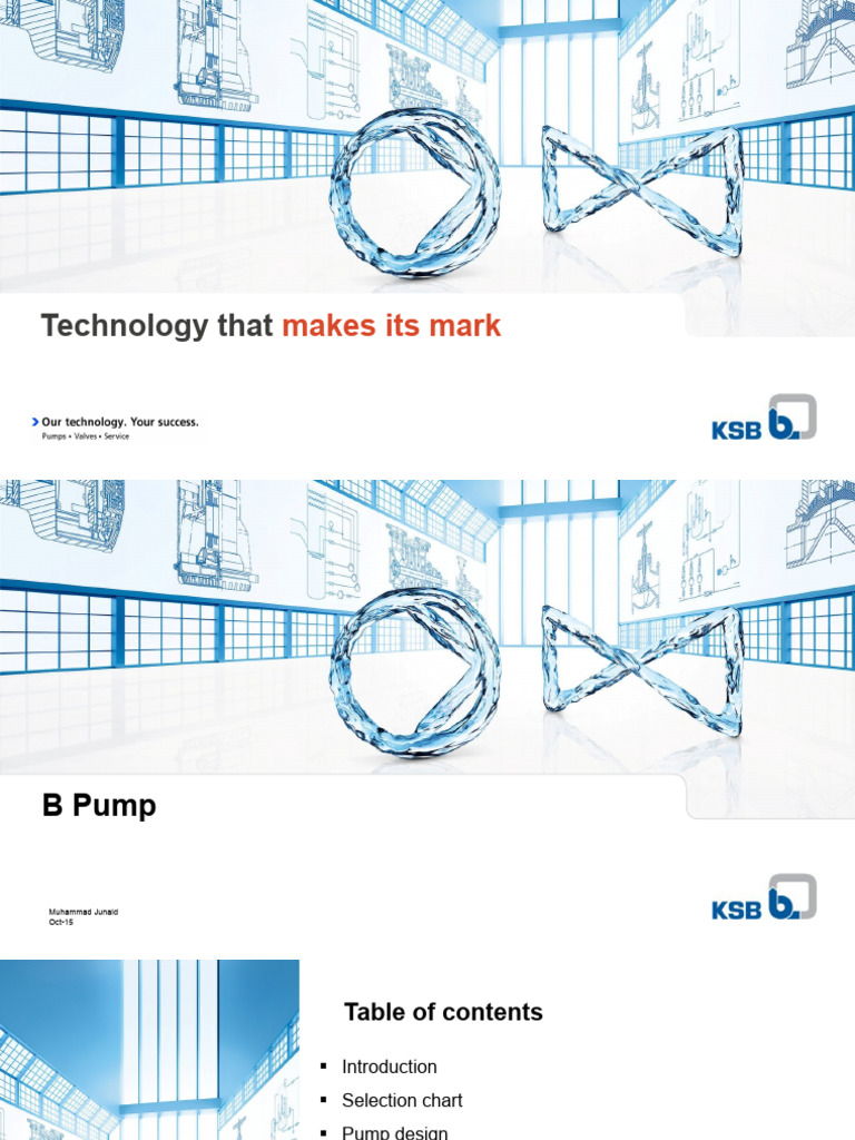 G2 - B Pumps | PDF | Pump | Bearing (Mechanical)