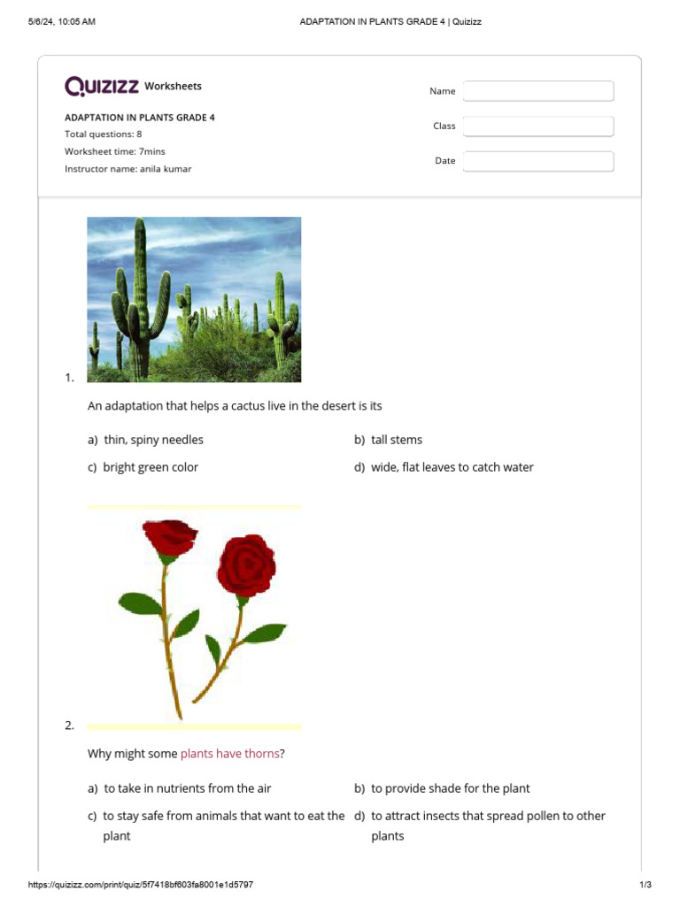 Adaptation in Plants Grade 4 _ Quizizz | PDF | Plants | Trees