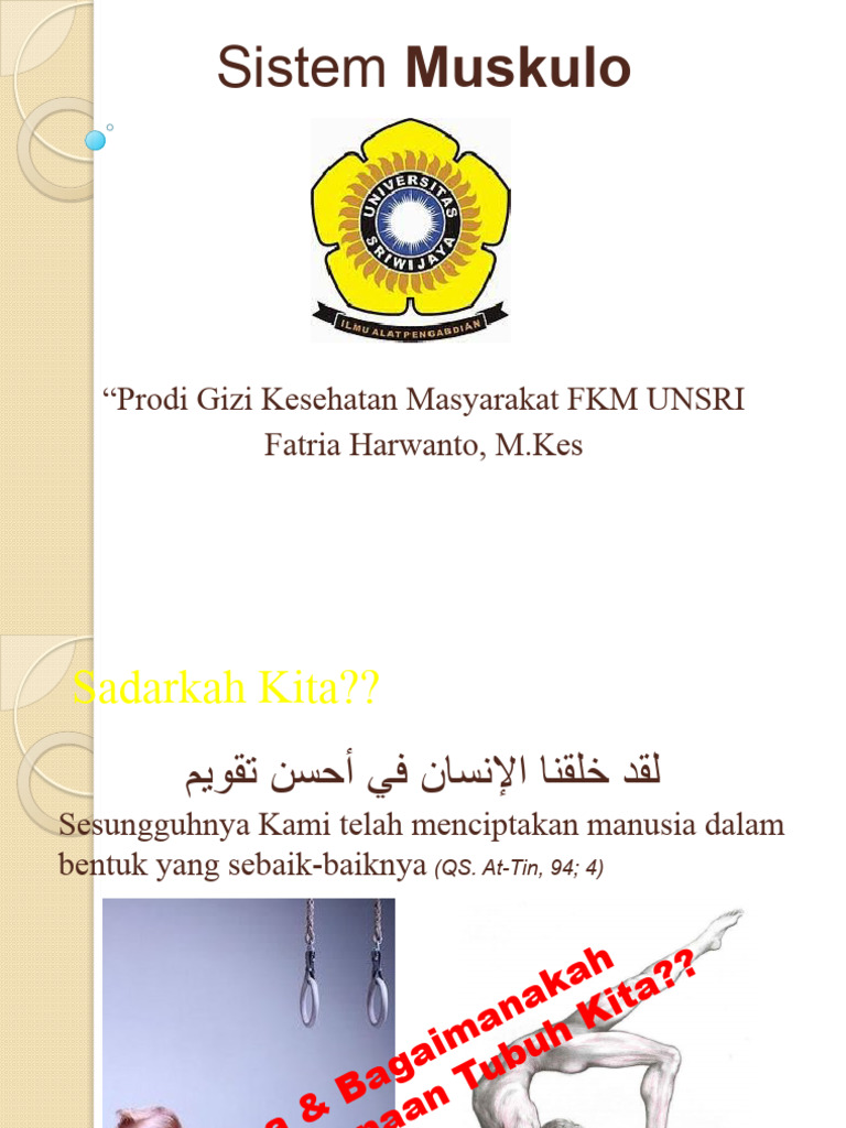 Sistem Muskulo | PDF | Olahraga & Rekreasi | Kesehatan Holistik