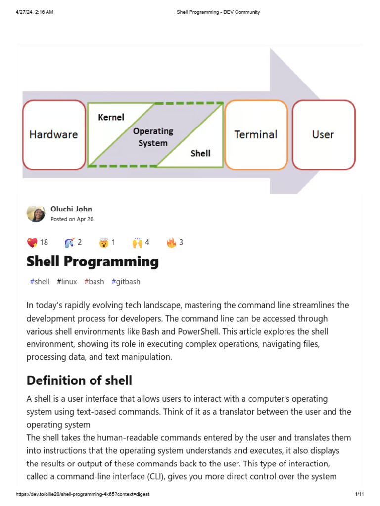 Shell Programming - DEV Community | Download Free PDF | Shell (Computing) | Command Line Interface