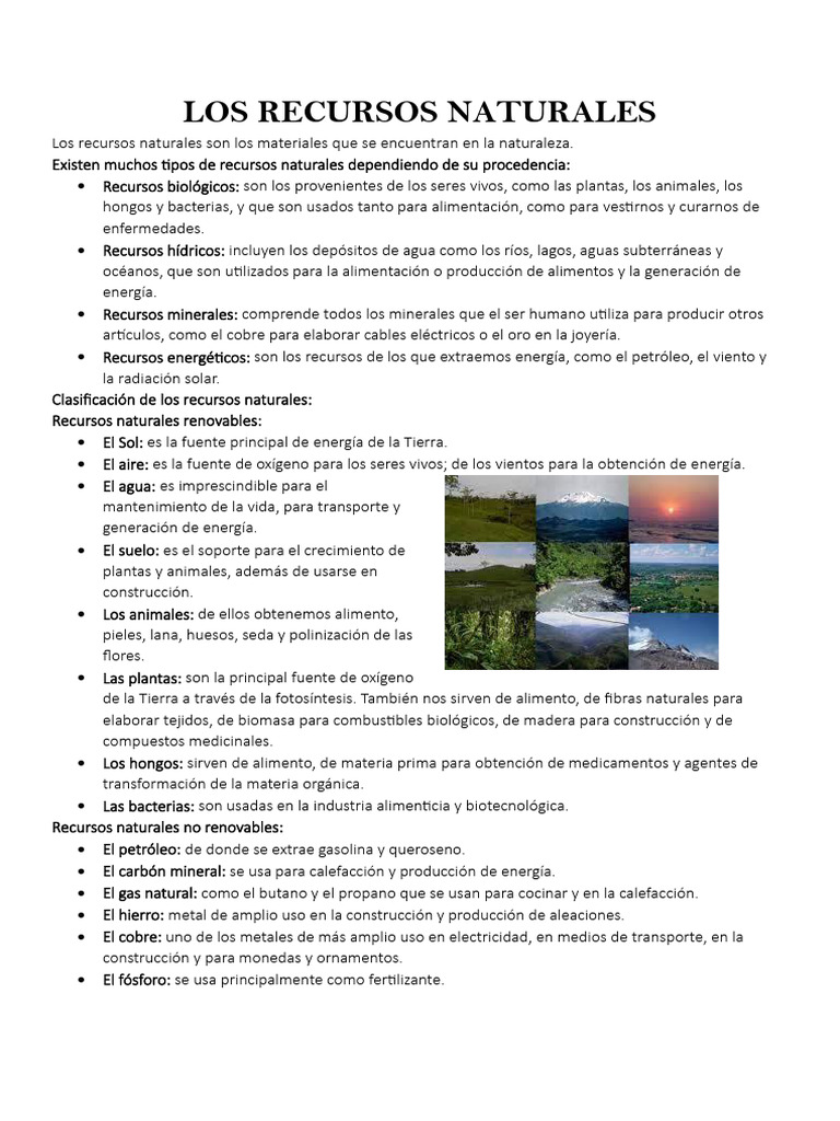 Los Recursos Naturales | PDF | Energía renovable | Alimentos