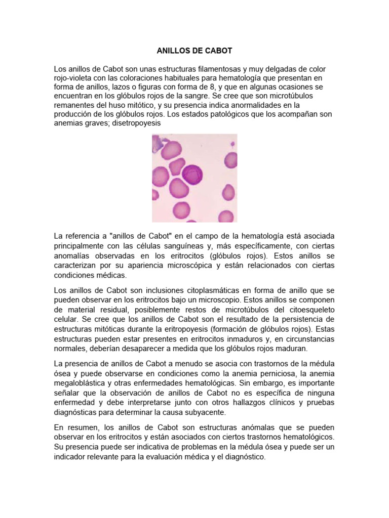 Anillos de Cabot | PDF | Glóbulo rojo | Hematología