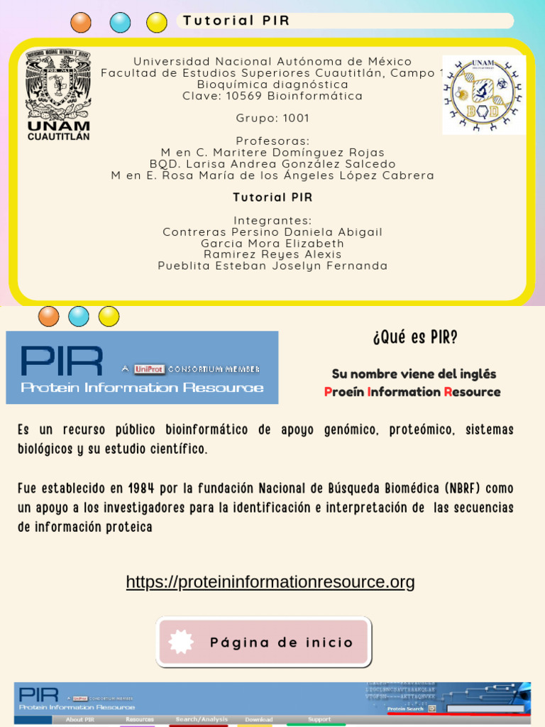 Tutorial PIR_1001 Corregido | PDF | Proteínas | Bioinformática