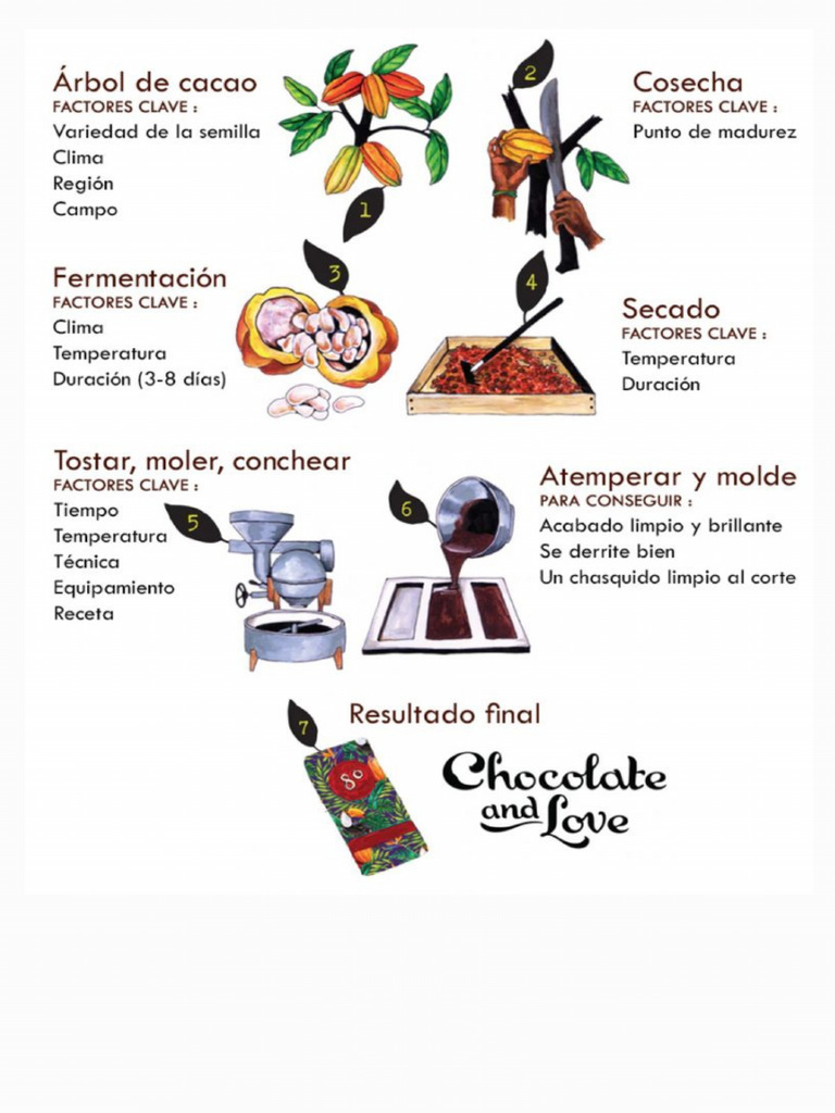 Chocolate Proceso | PDF