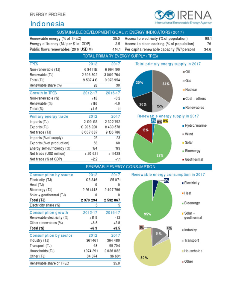 Indonesia Asia RE SP | PDF | Renewable Energy | Solar Power