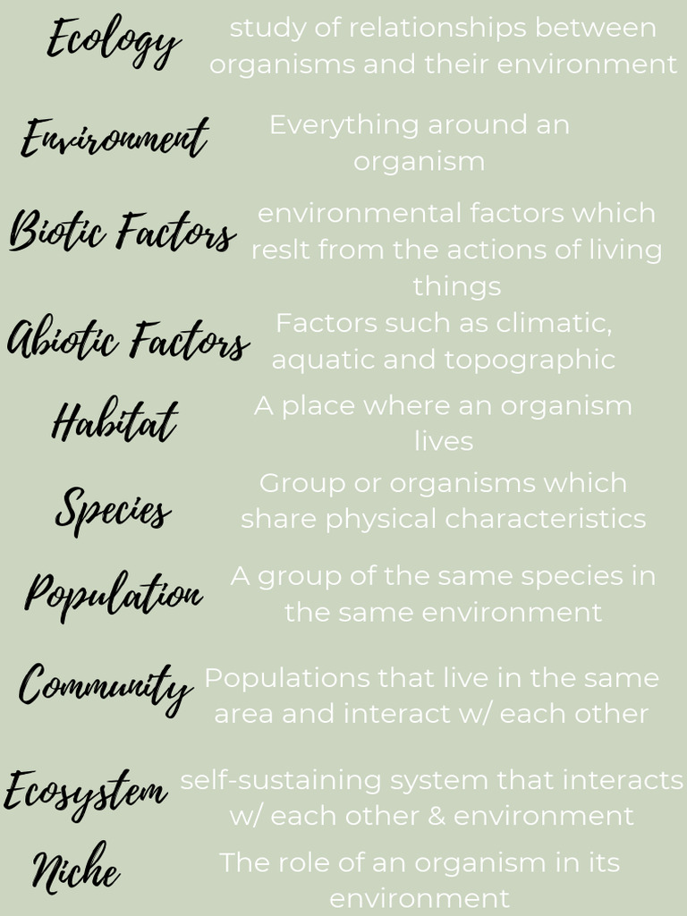 Ecology Terms | PDF