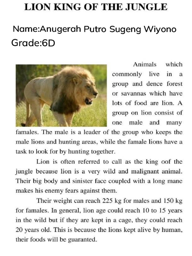 Lion | PDF