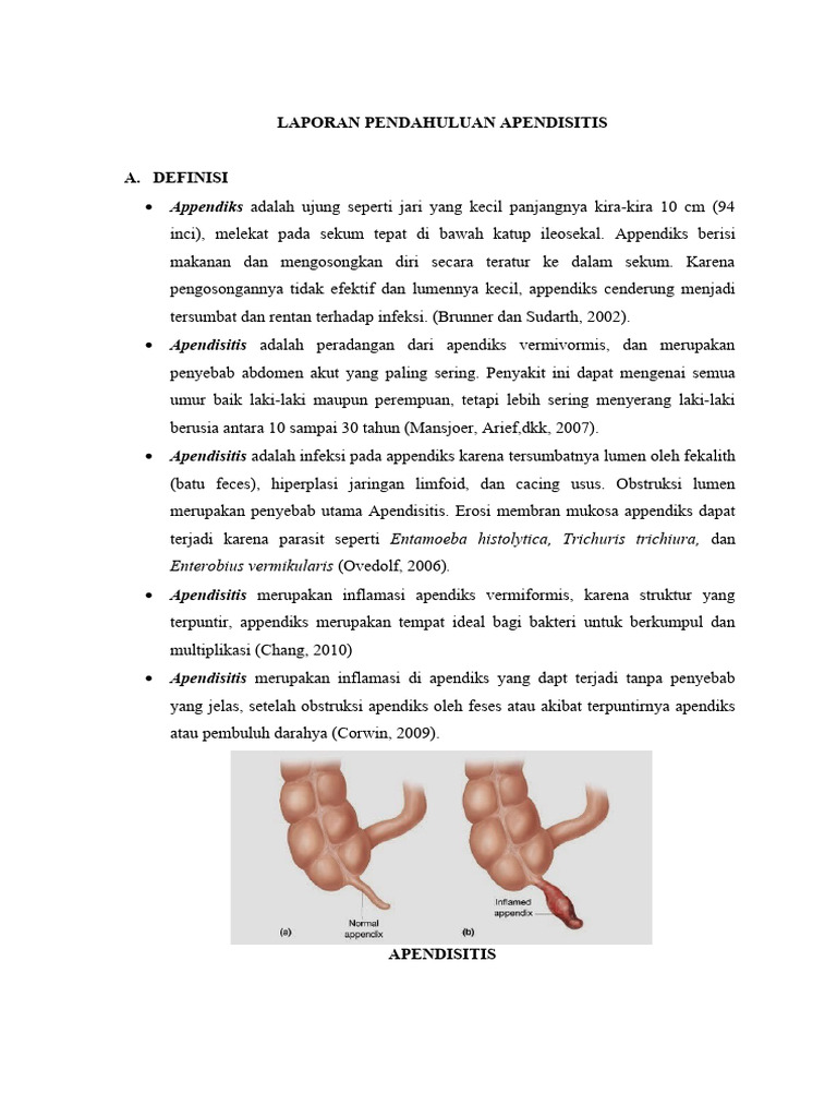 LP Apendisitis | PDF