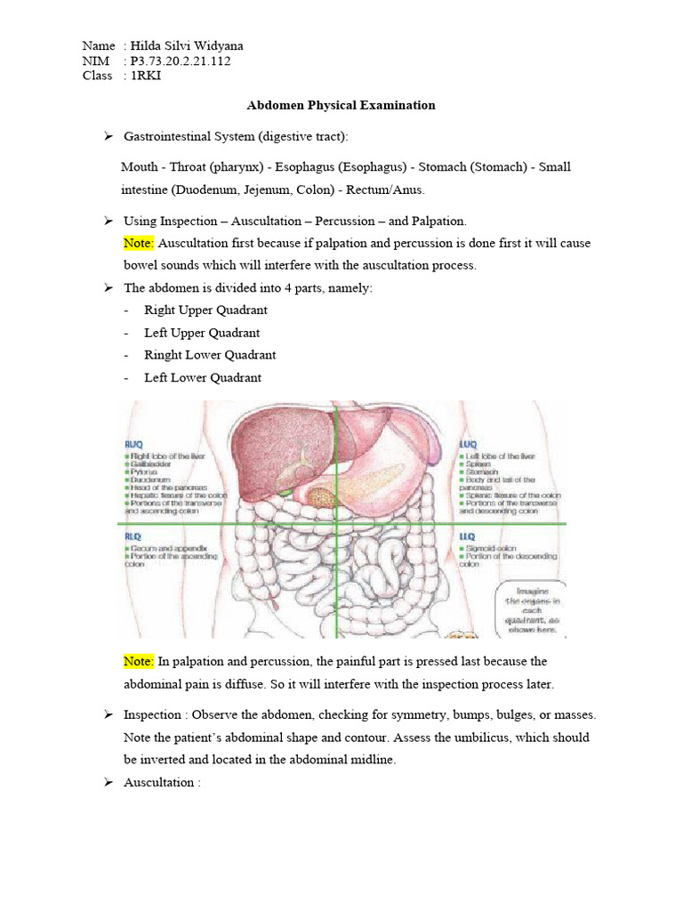 Abdomen Physical Examination | PDF | Gastrointestinal Tract | Abdomen