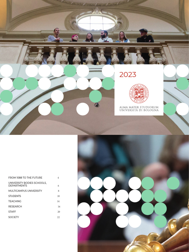 Brochure ATENEO | PDF | University | Non Governmental Organization