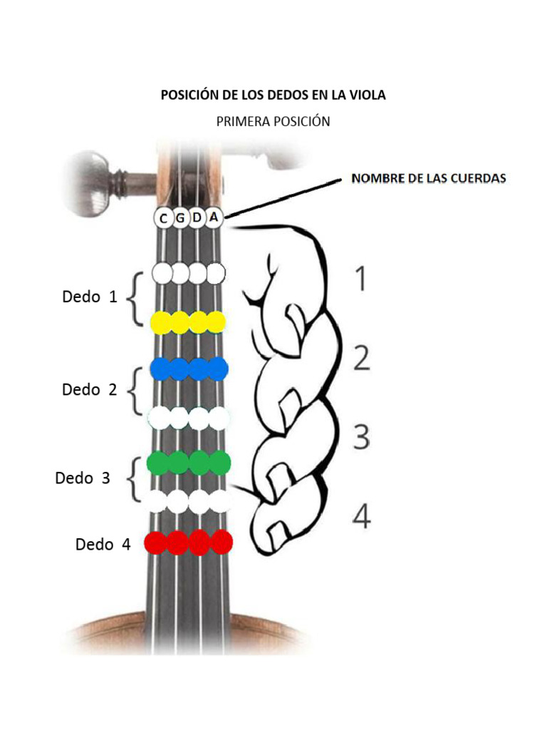Guía de Posición de Dedos en Viola | PDF