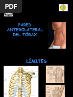 Anatomía de la Región Esternal | PDF | Tórax | Sistema esquelético