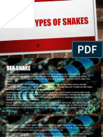Awareness Safety Talk SNAKE HAZARDS | PDF | Snake | Venomous Snakes