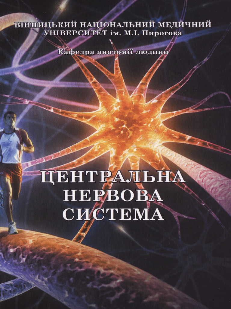 ЦНС Методичка+ | PDF