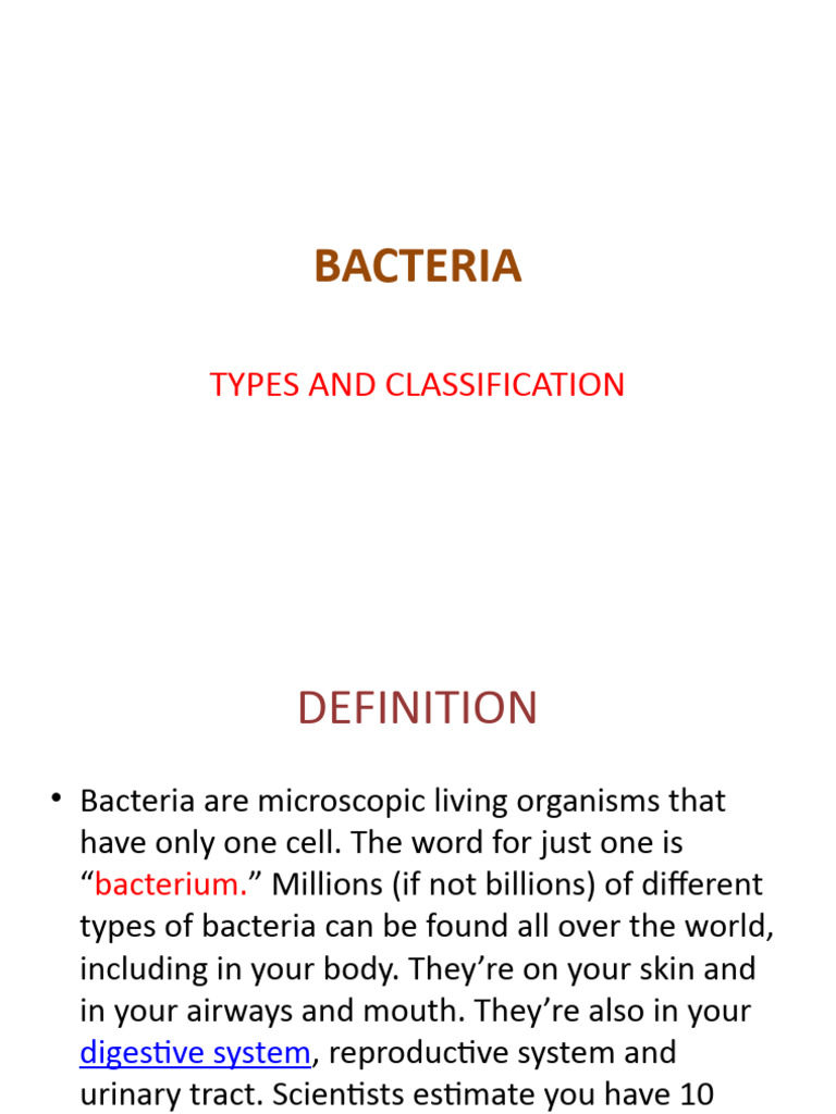 BACTERIA | PDF | Bacteria | Gram Positive Bacteria