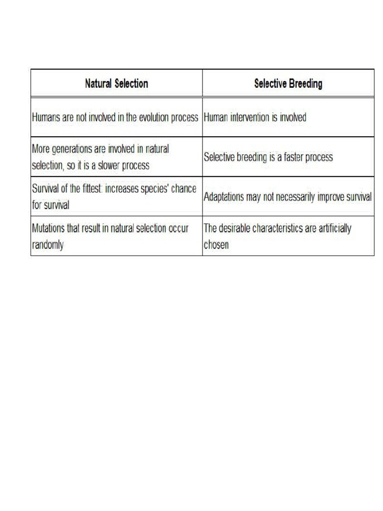 Natural Selection and Selective Breeding | PDF