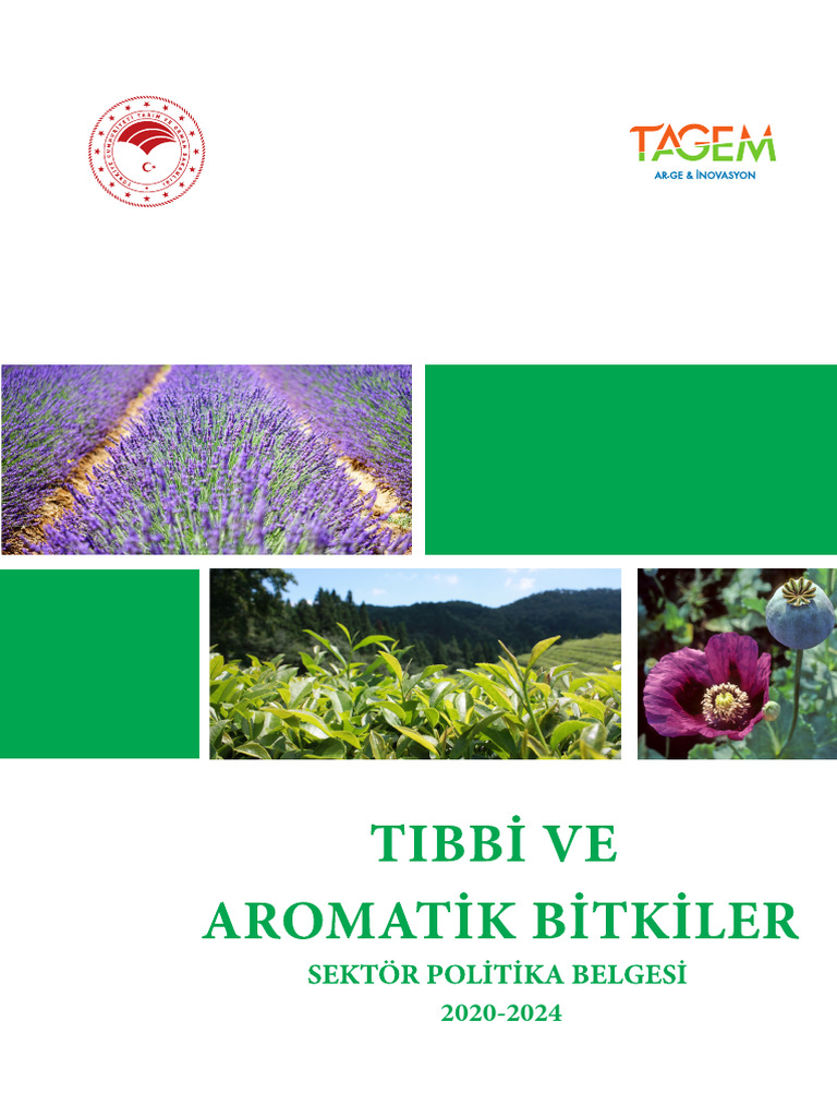 Tıbbi Ve Aromatik Bitkiler SPB | PDF