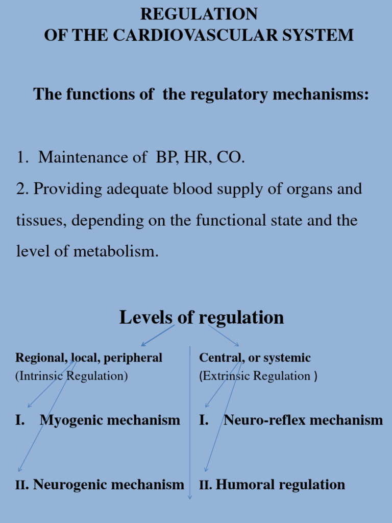 Regulation of CVS | PDF | Heart | Vagus Nerve