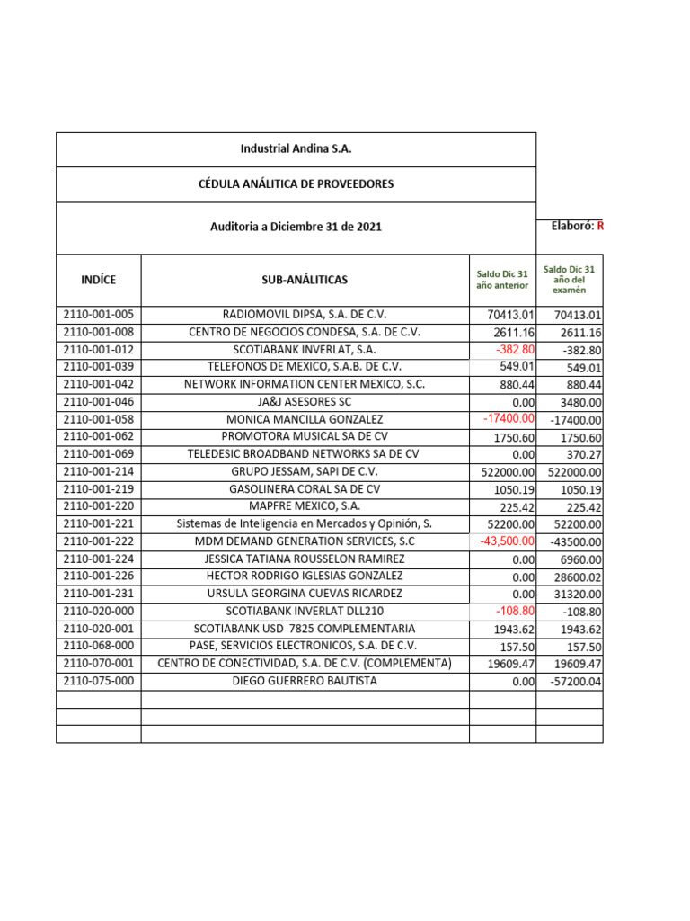 Formato de Sub-Analíticas | PDF