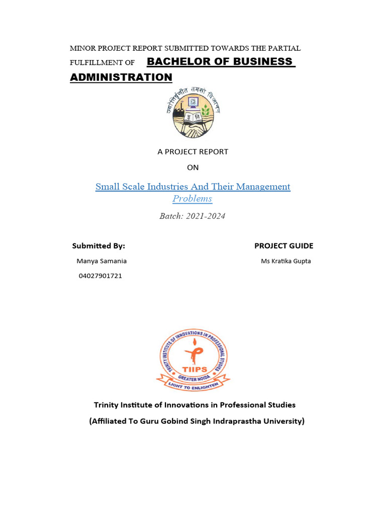 Minor Project | PDF | Questionnaire | Design Thinking