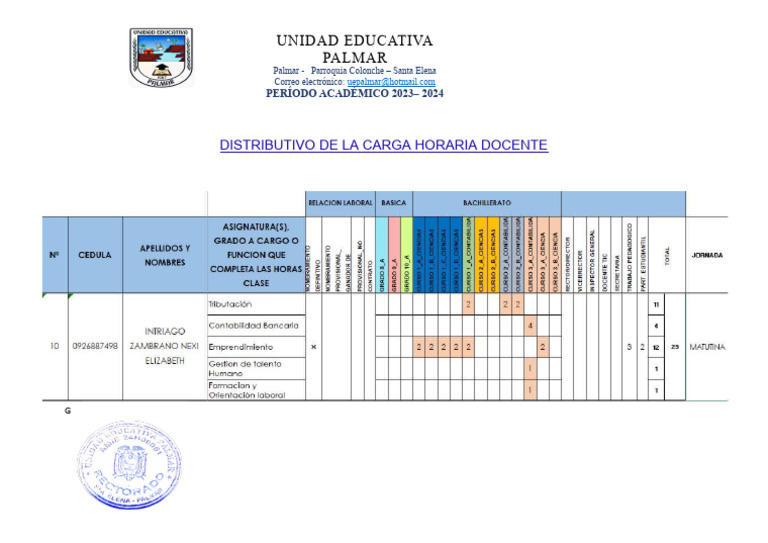 Distributivo De La Carga Horaria Docente Pdf