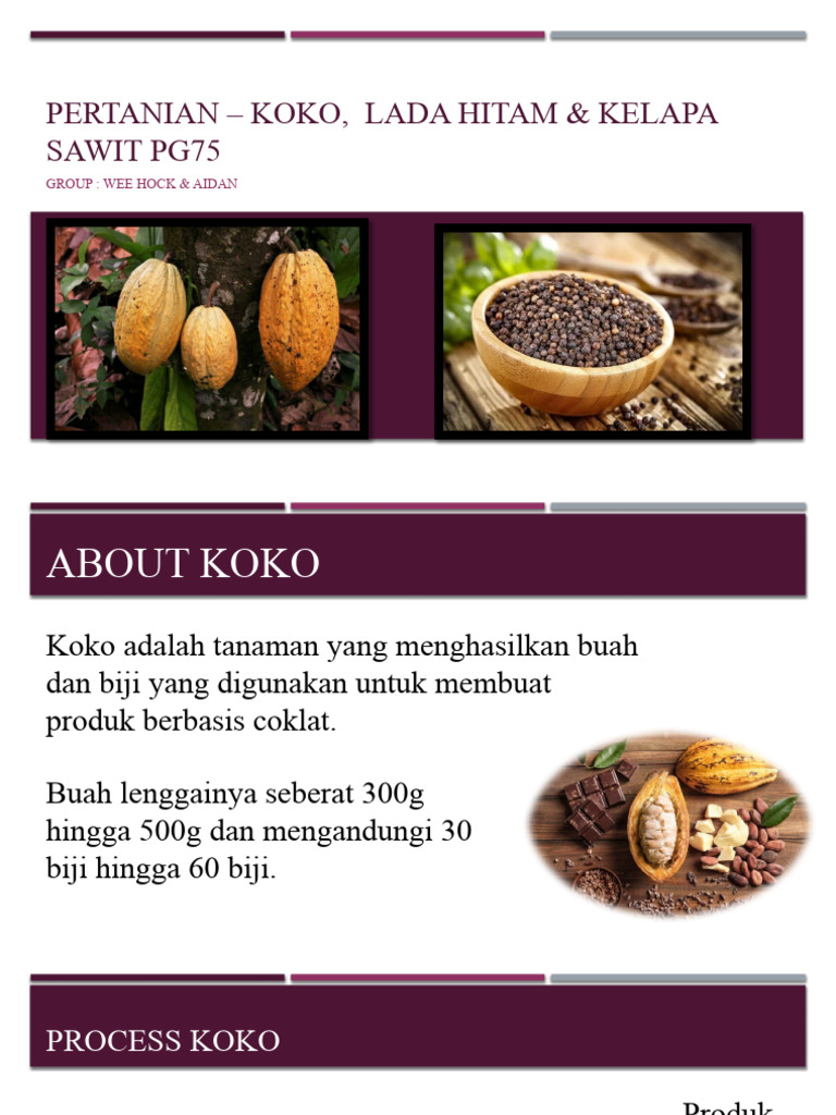 Pertanian - Koko, Lada Hitam & Kelapa Sawit | PDF