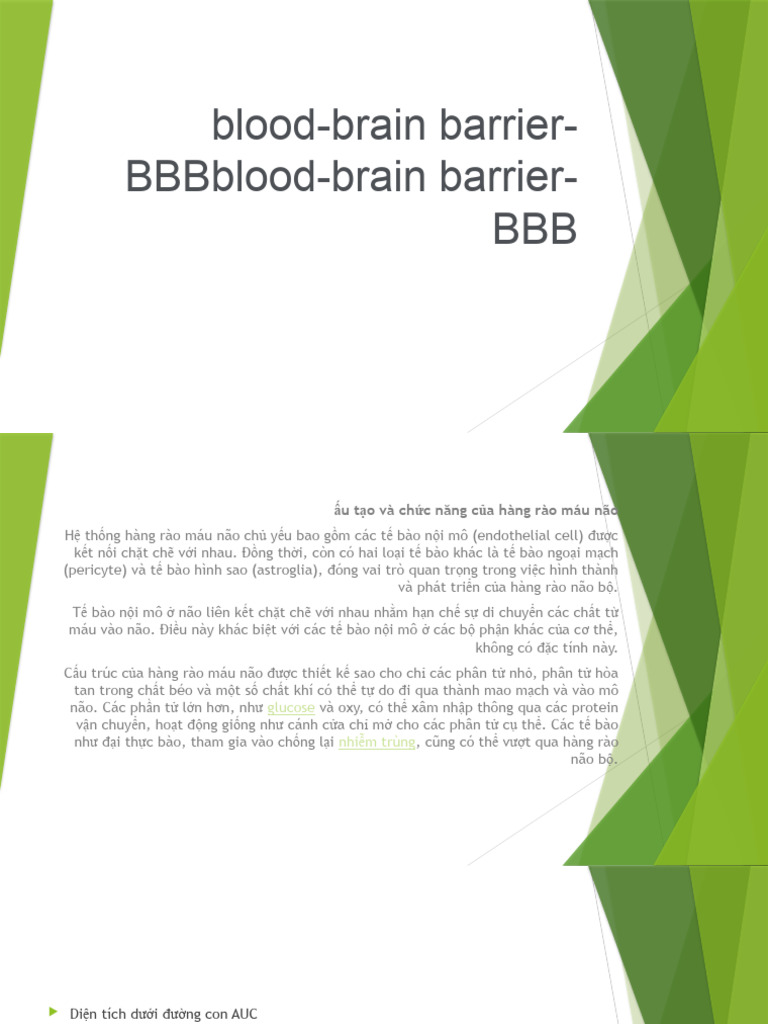 Blood-Brain barrier-BBBblood-brain barrier-BBB | PDF