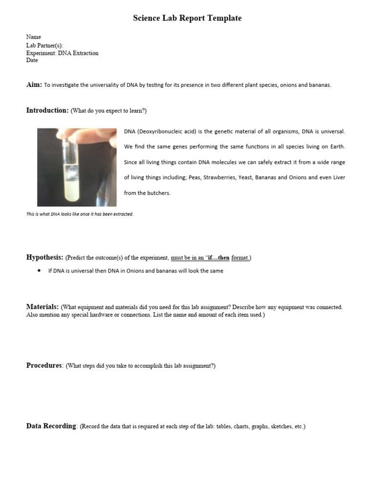 DNA Extraction Lab Report Template | PDF