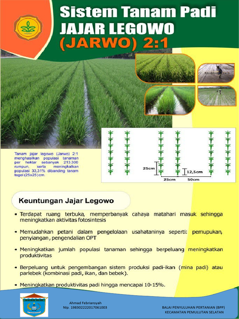 Folder Jarwo Padi | PDF