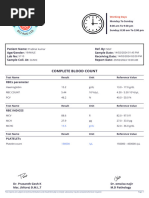 CBC Test Report Format Example Sample Template Drlogy Lab Report | PDF ...
