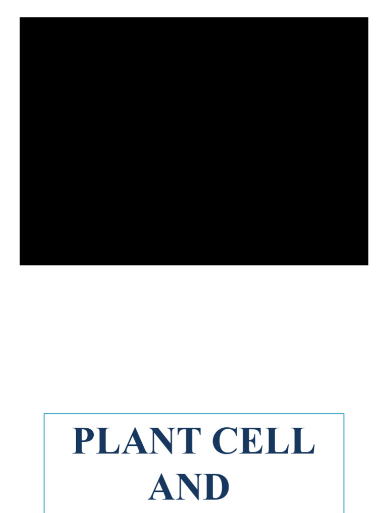Plant and Animal Cell(Presentation) | PDF | Cell (Biology ...