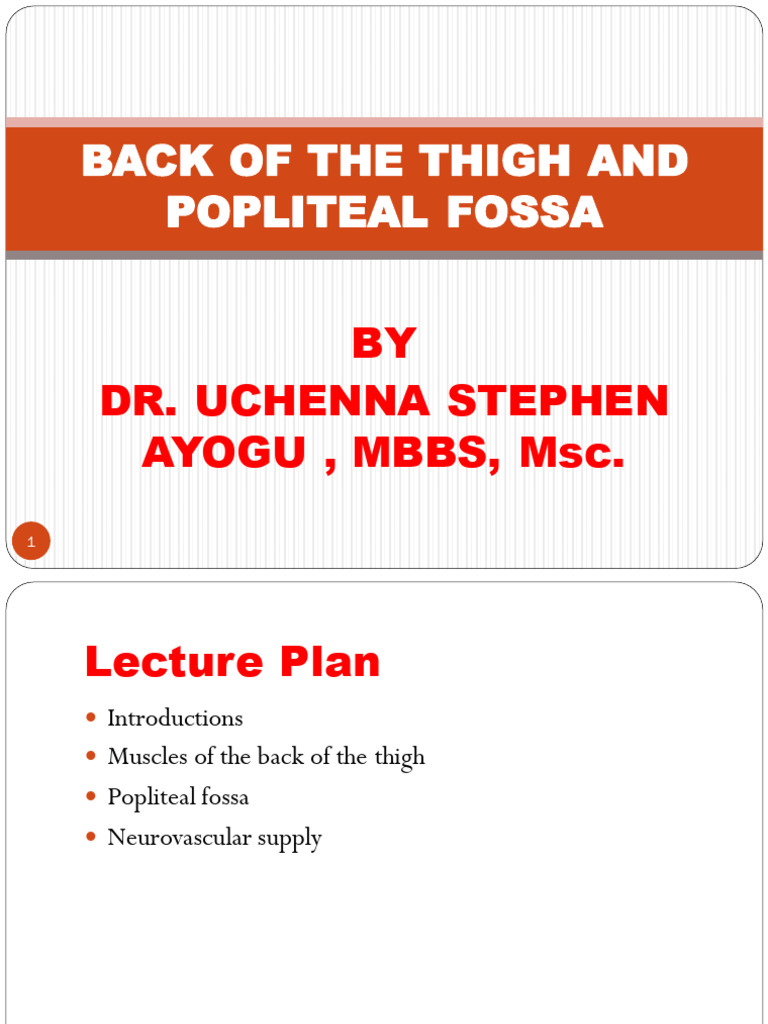 Anatomy of The Back of Thigh and Popliteal Fossa | PDF | Human Leg | Knee