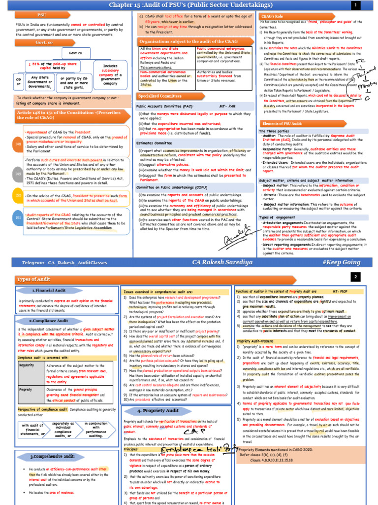 PSU | PDF | Audit | Auditor's Report
