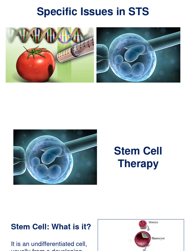 Stem Cell Therapy: Types and Ethics | PDF | Cell Potency | Stem Cell