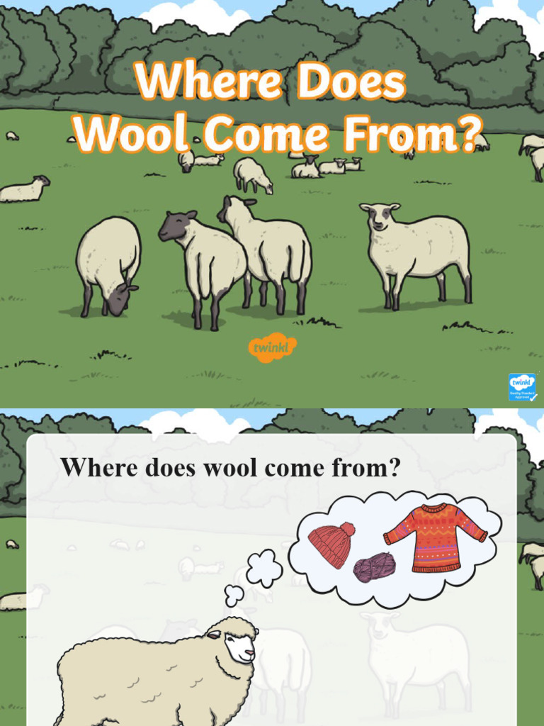 Za Kps 2 Where Does Wool Come From Powerpoint Ver 4 Pdf 4862
