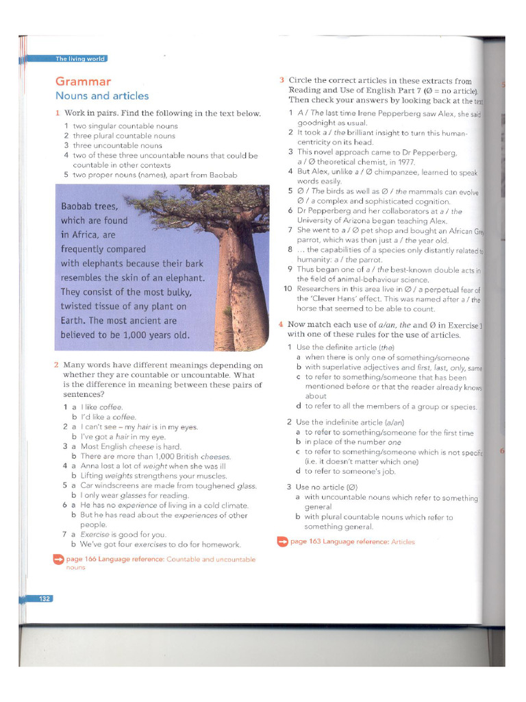 Grammar, Nouns and Articles | PDF