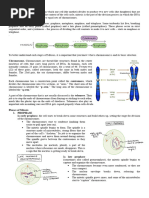 Mnemonics For Cycle Cell and Division | PDF