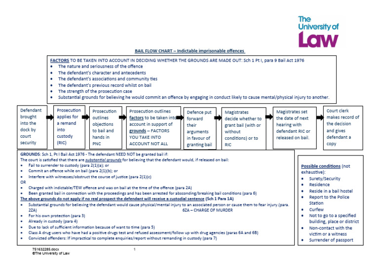 Bail Flowchart 2 | Download Free PDF | Bail | Legal Action