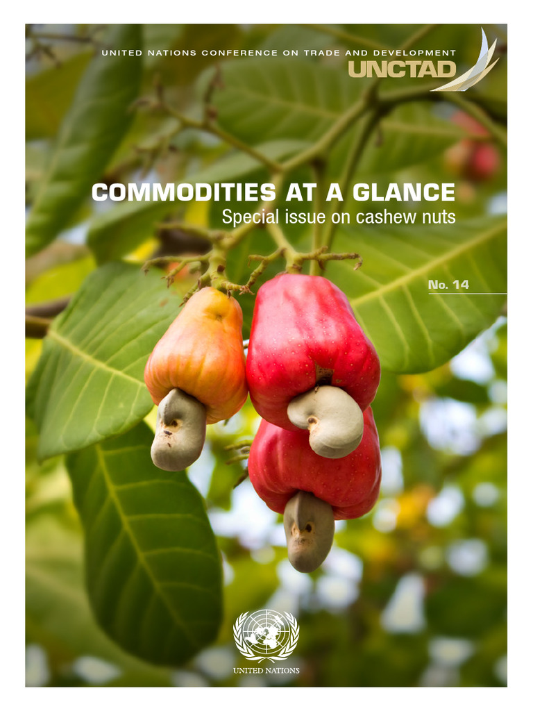 Cashew Commodity World Trade at A Glance | PDF | Finance & Money Management