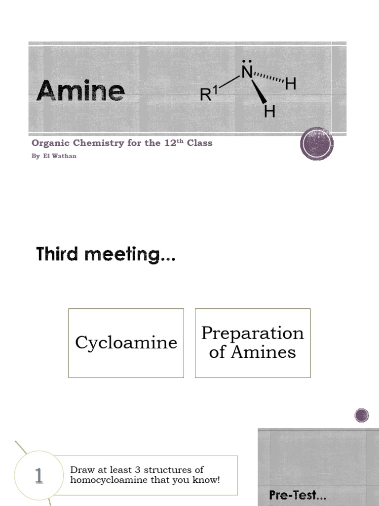 Organic Chemistry - Amine 3 | PDF | Amine | Pyridine