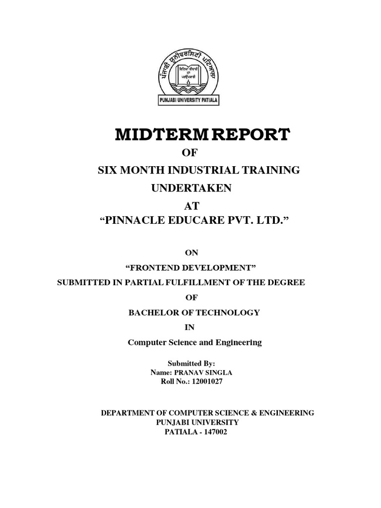 Pranav Singla - Report - 2024 | PDF | World Wide Web | Internet & Web