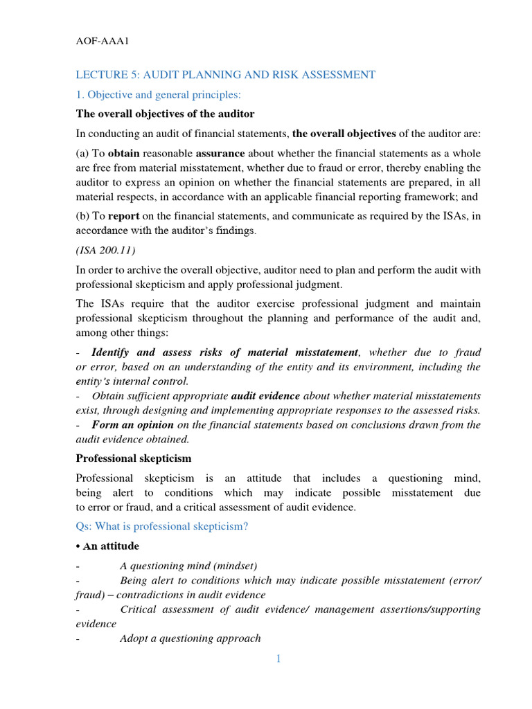 Audit Planning & Risk Assessment | PDF | Audit | Financial Audit