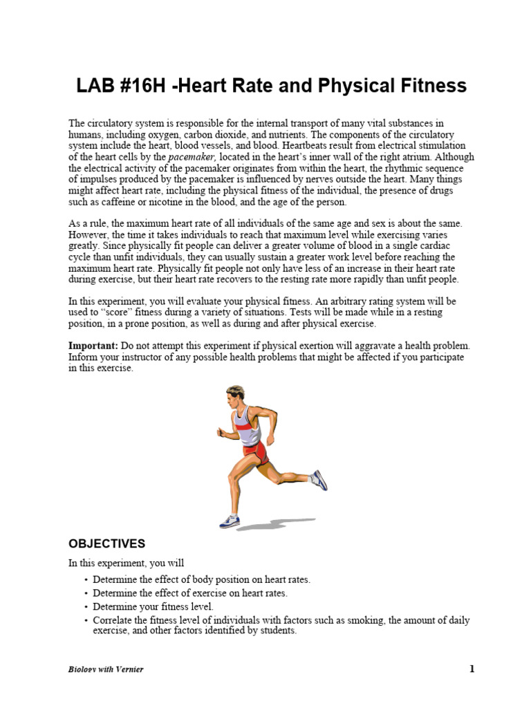 Lab 16H - Heart Rate and Physical Fitness | PDF | Heart Rate | Heart