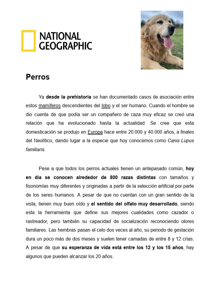 Historia y características de los perros | PDF